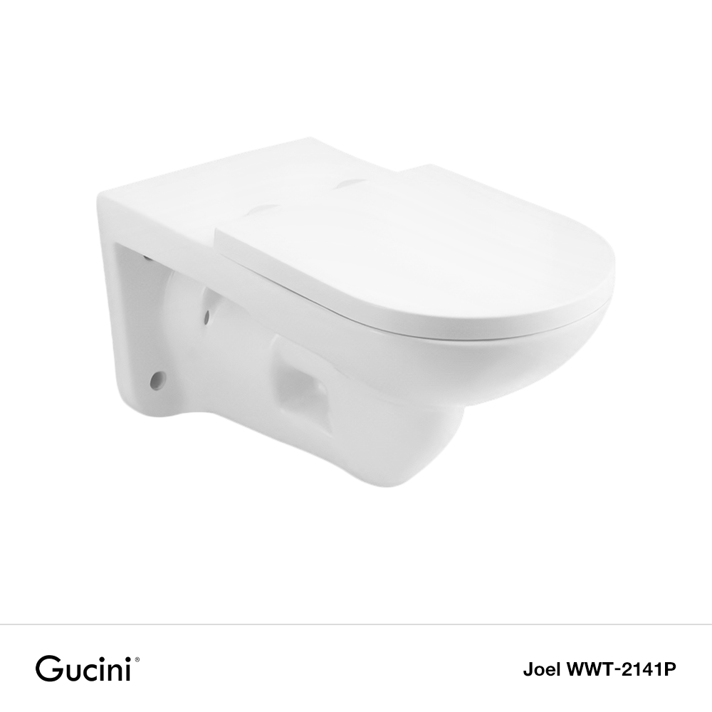 Joel WWT-2141P Wall-Hung Washdown P-Trap Water Closet
